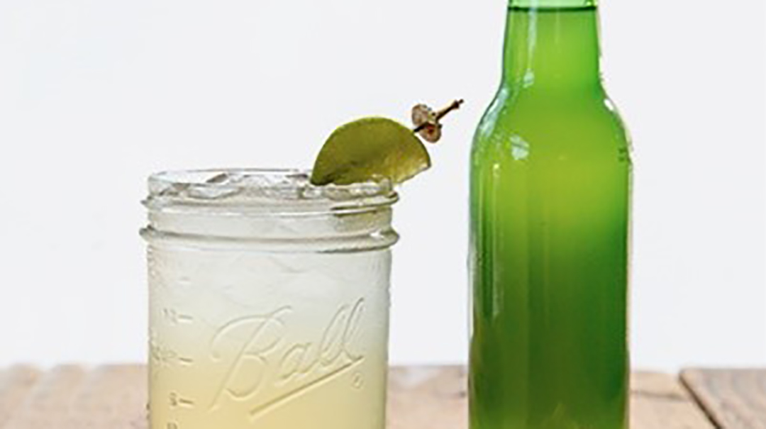 BACK RIVER GIN | Maine Spirits